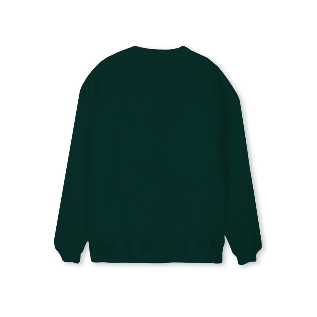 Regular Crewneck Sweater Printed Sample. – WATC STUDIO